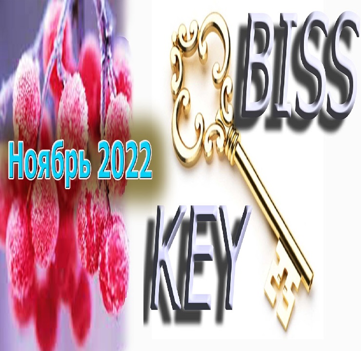 Свежие BISS KEYS - БИСС ключи на декабрь 2022 — schip.com.ua